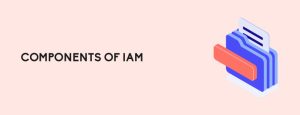 What is IAM: A Guide to Identity and Access Management